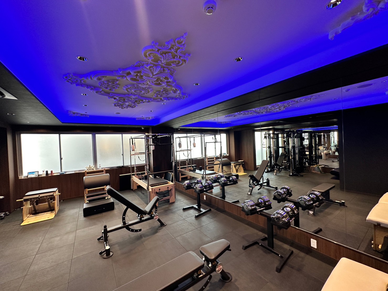 GALLERY - TIGER GYM